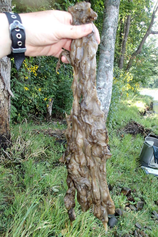 Dirty Waders Could Pose Threat - Sporting Classics Daily