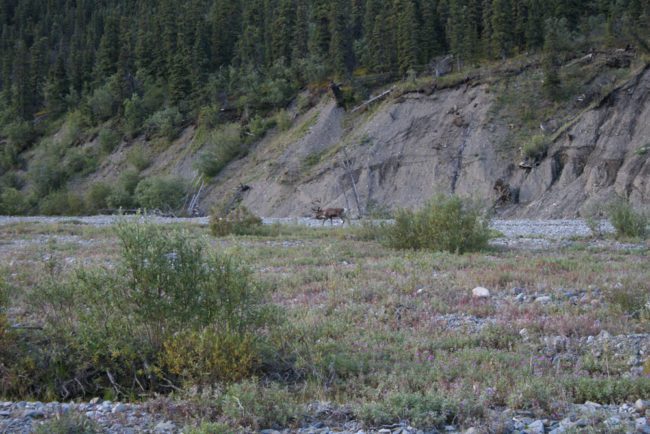 At the Edge of Alaska – Sporting Classics Daily
