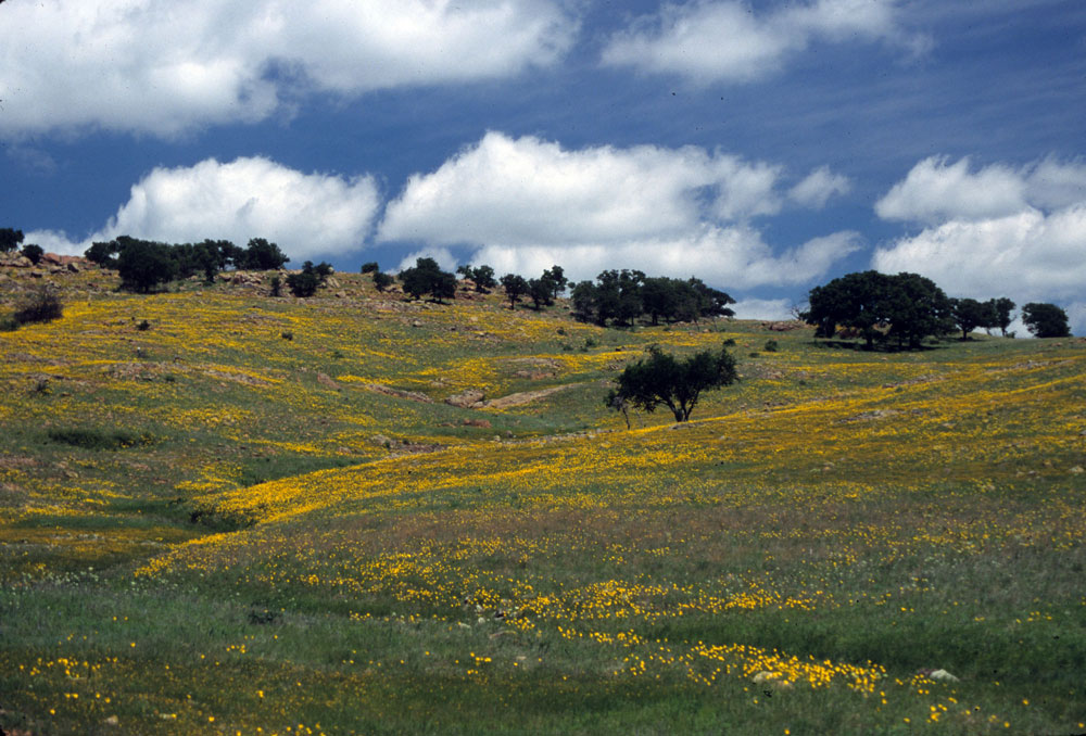 Roosevelt’s Game Preserve - Sporting Classics Daily