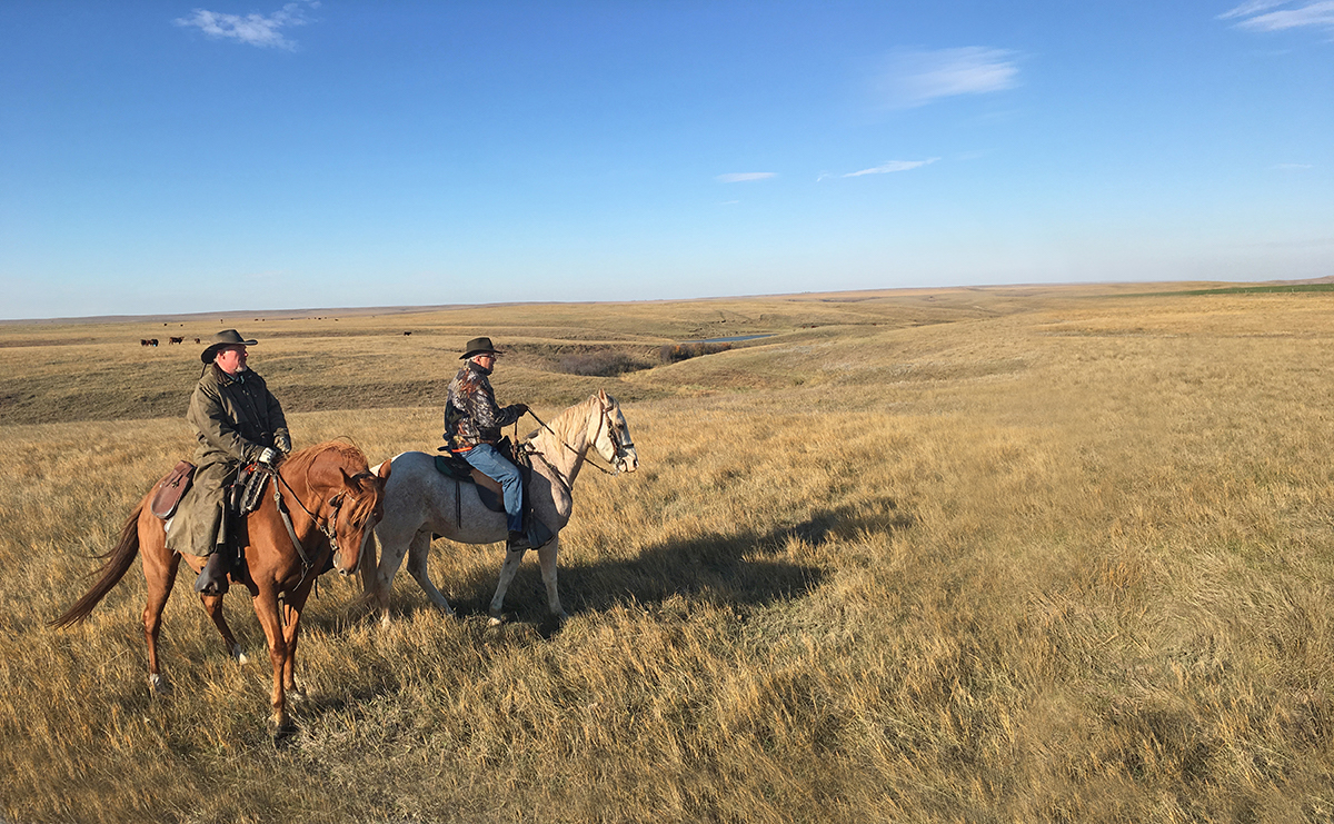 Prairie Wings - Sporting Classics Daily