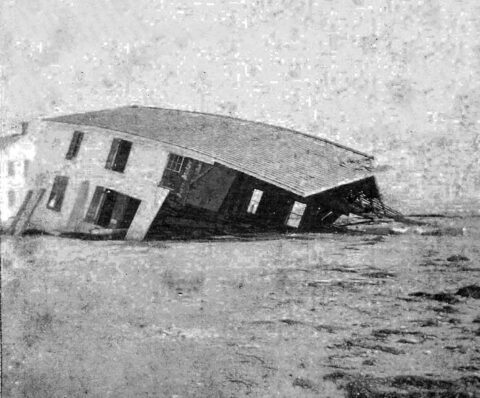 The Saga of Cobb Island - Sporting Classics Daily