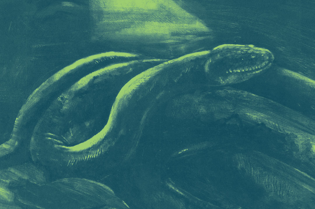 The Giant Serpent of Cebu - Sporting Classics Daily