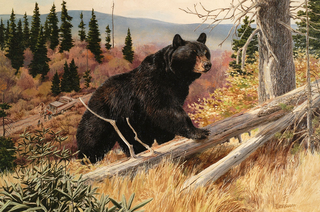 Adventures in Minnesota’s Black Bear Country - Sporting Classics Daily