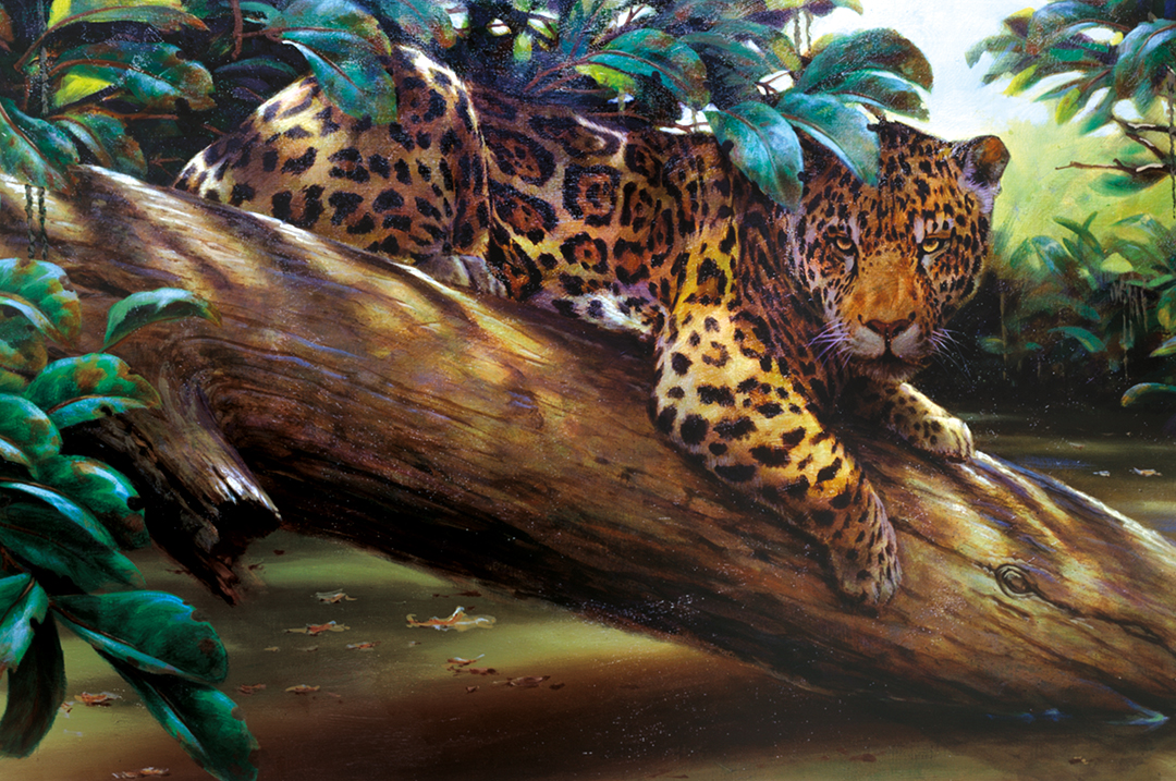 Night of the Jaguar - Sporting Classics Daily
