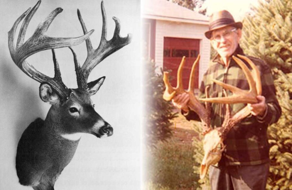 The Antlers Were Extra - Sporting Classics Daily