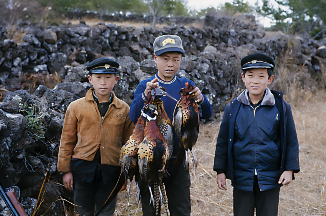 Cheju Do Pheasant Hunt - Sporting Classics Daily